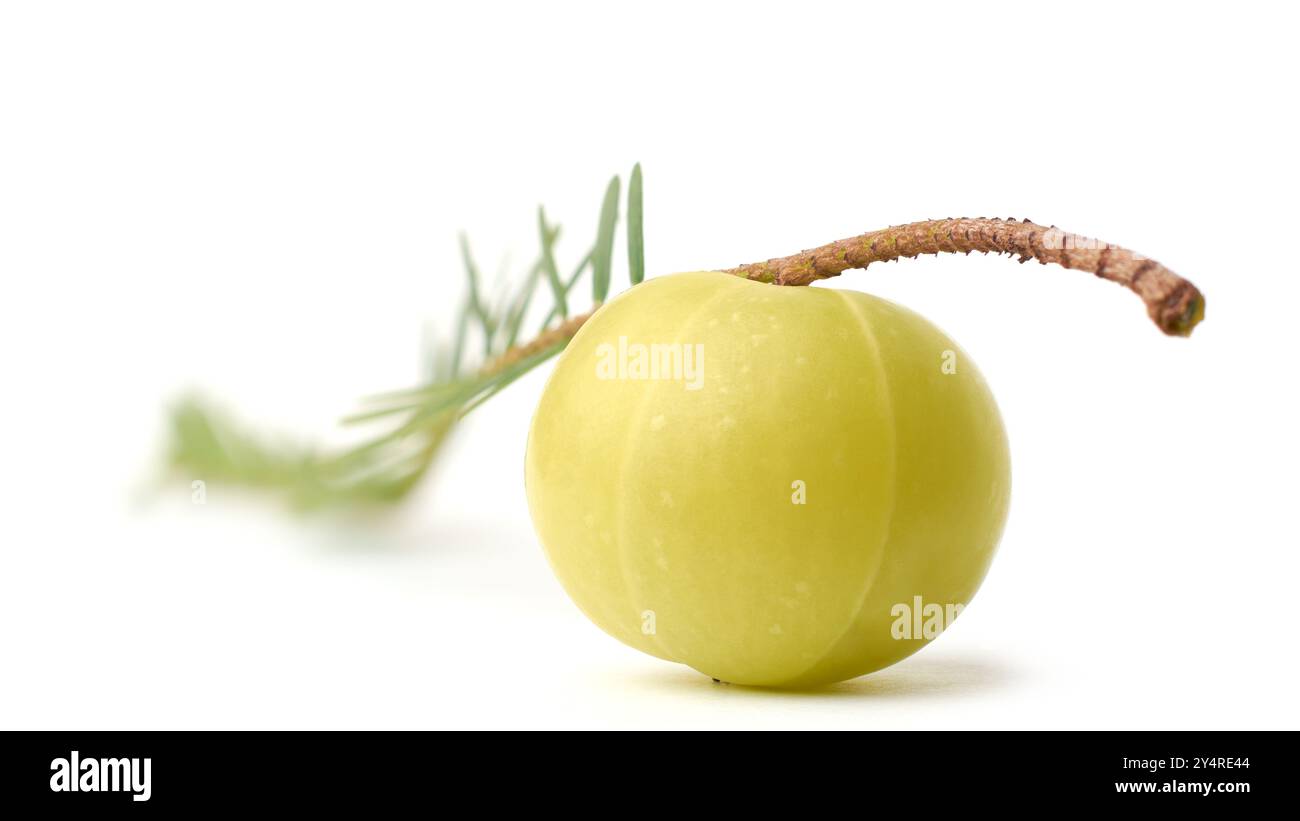 close-up of fresh amla or indian gooseberry isolated white background ...