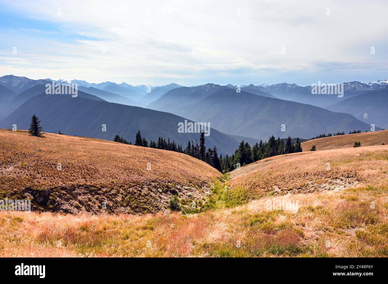 Valleys, mountain ridges, dry fields at Hurricane Ridge near Port ...
