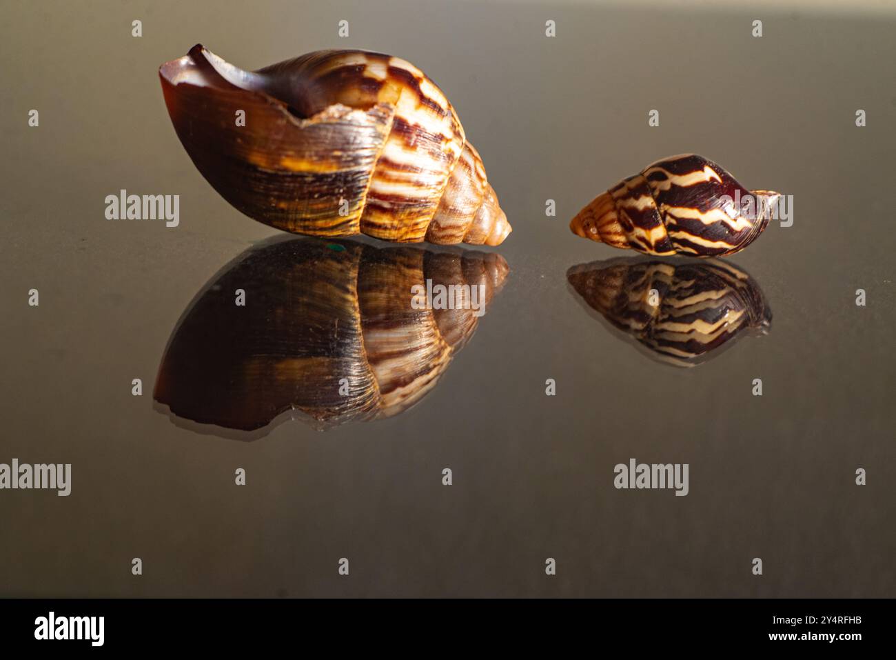 Horizaont hi-res stock photography and images - Alamy