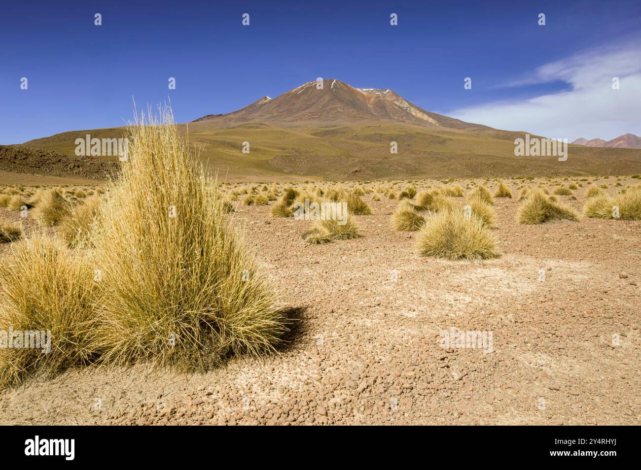 Majestic Andean Volcano Rising Above the Altiplano of Bolivia Stock ...
