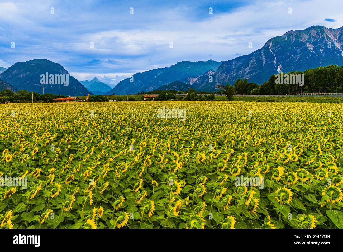 PARCO REGIONALE PREALPI GIULIE, ITALY – JULY 23, 2024: Expansive view ...