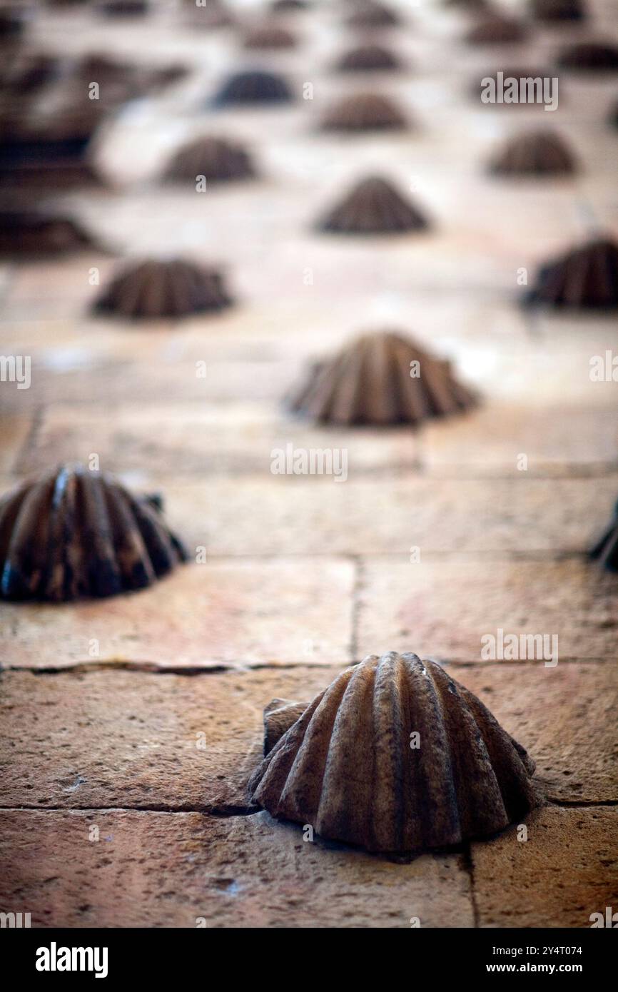 The unique shell motifs of the Casa de las Conchas facade create an ...