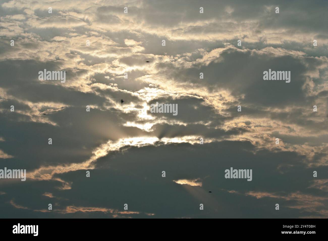 2009 mumbai hi-res stock photography and images - Alamy