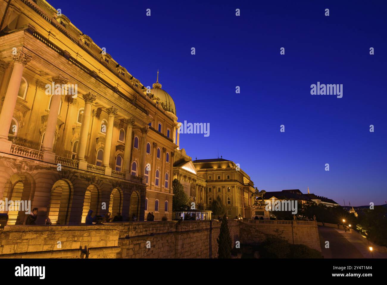Night view of Buda Castle, the historical castle and palace complex of the Hungarian kings in ...