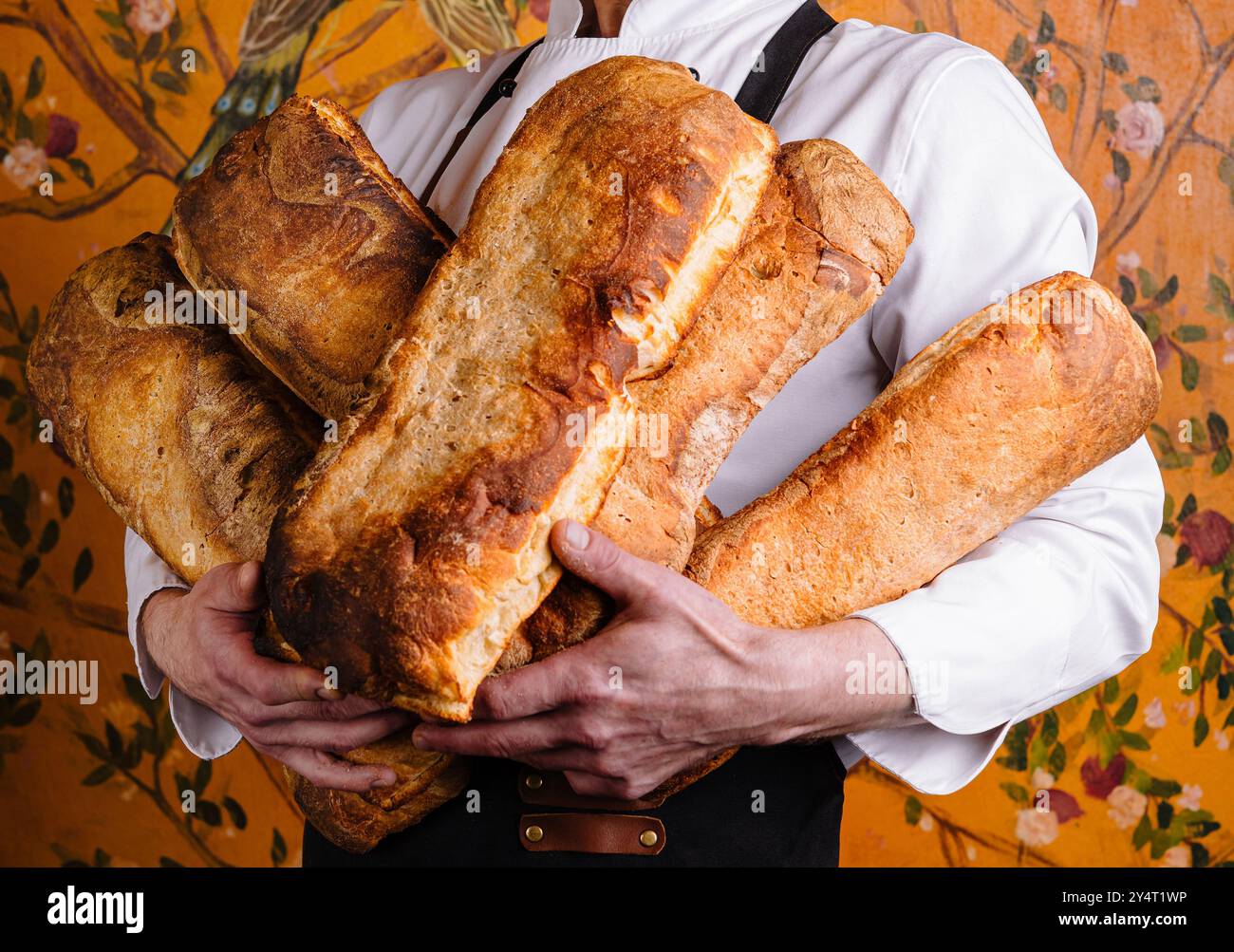 Professional baker in an apron proudly presents a selection of golden ...