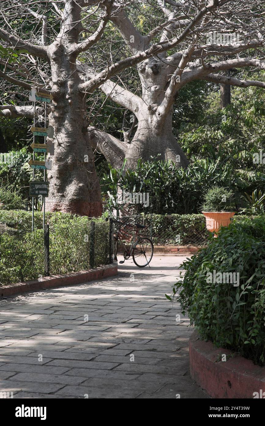 Byculla, Maharashtra / India - May 3, 2009: The view of the two huge ...