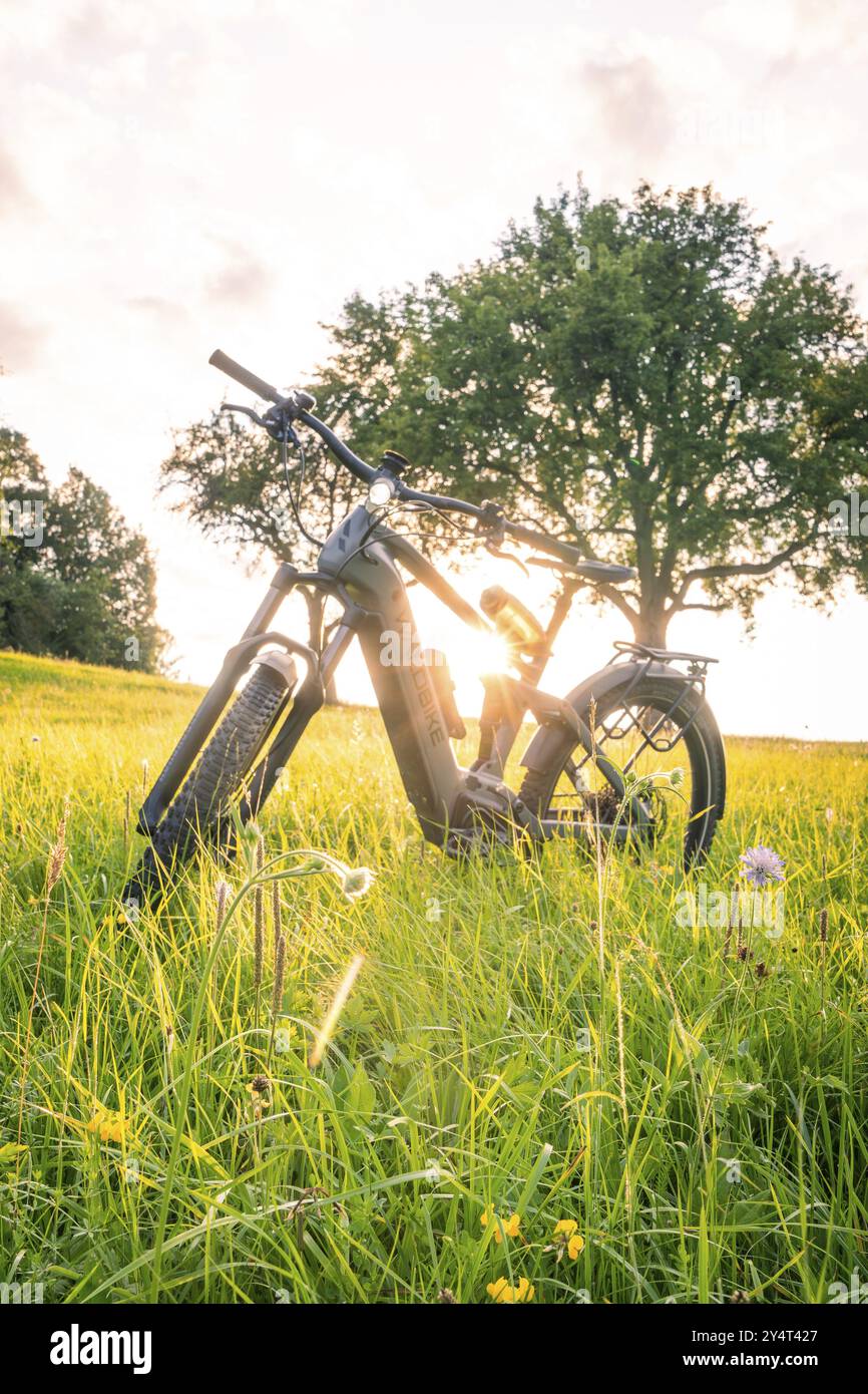 E-bike standing in high grass, surrounded by nature and trees, while ...
