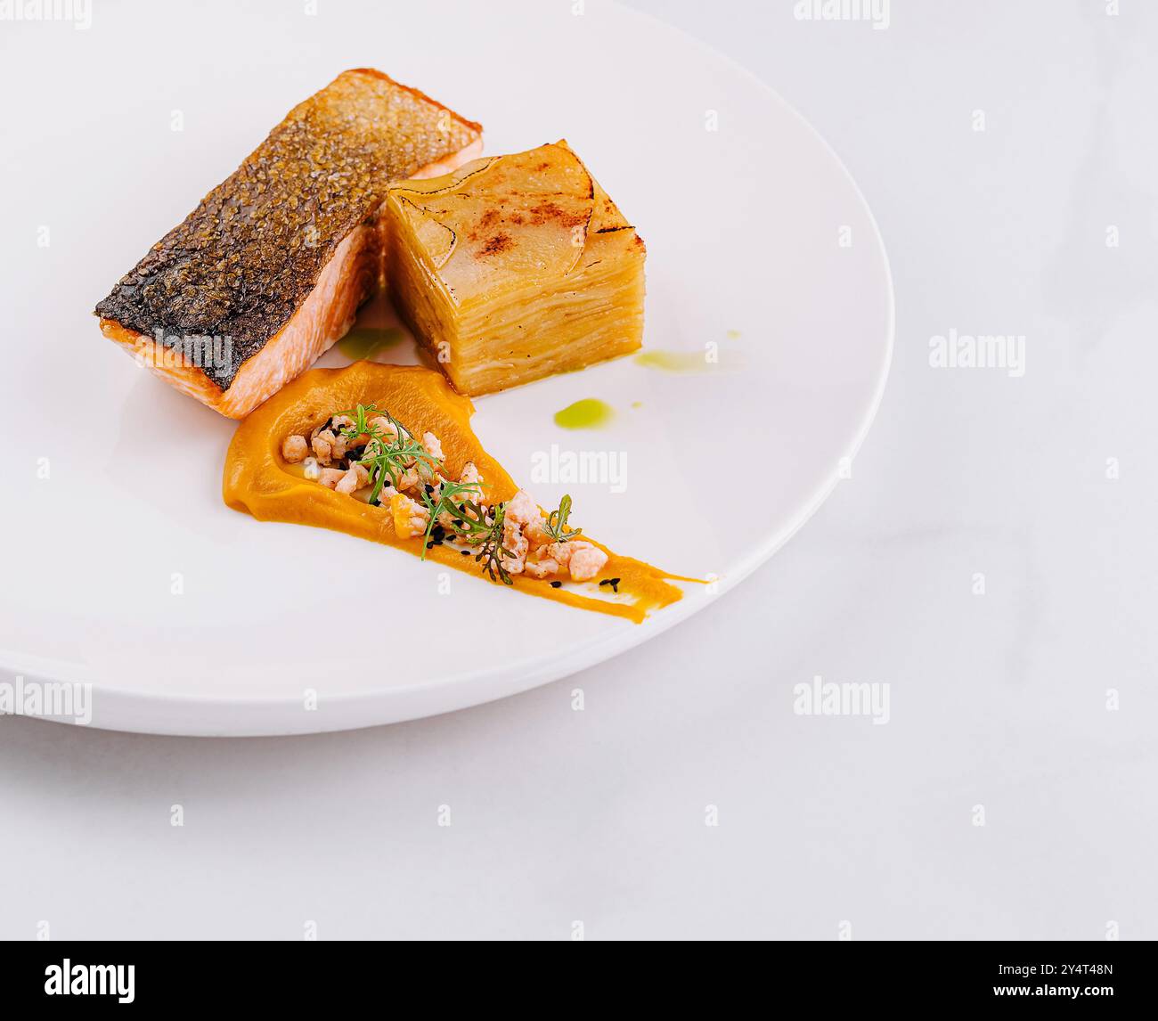 Exquisite plated salmon dish with crispy skin and puree, ready for fine ...