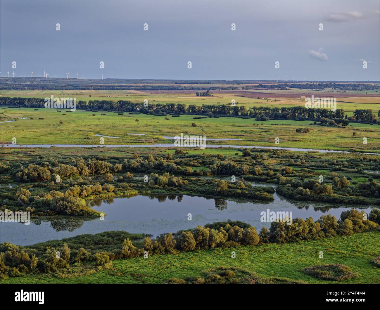 The Warta Estuary National Park, Park Narodowy Ujscie Warty, where the ...