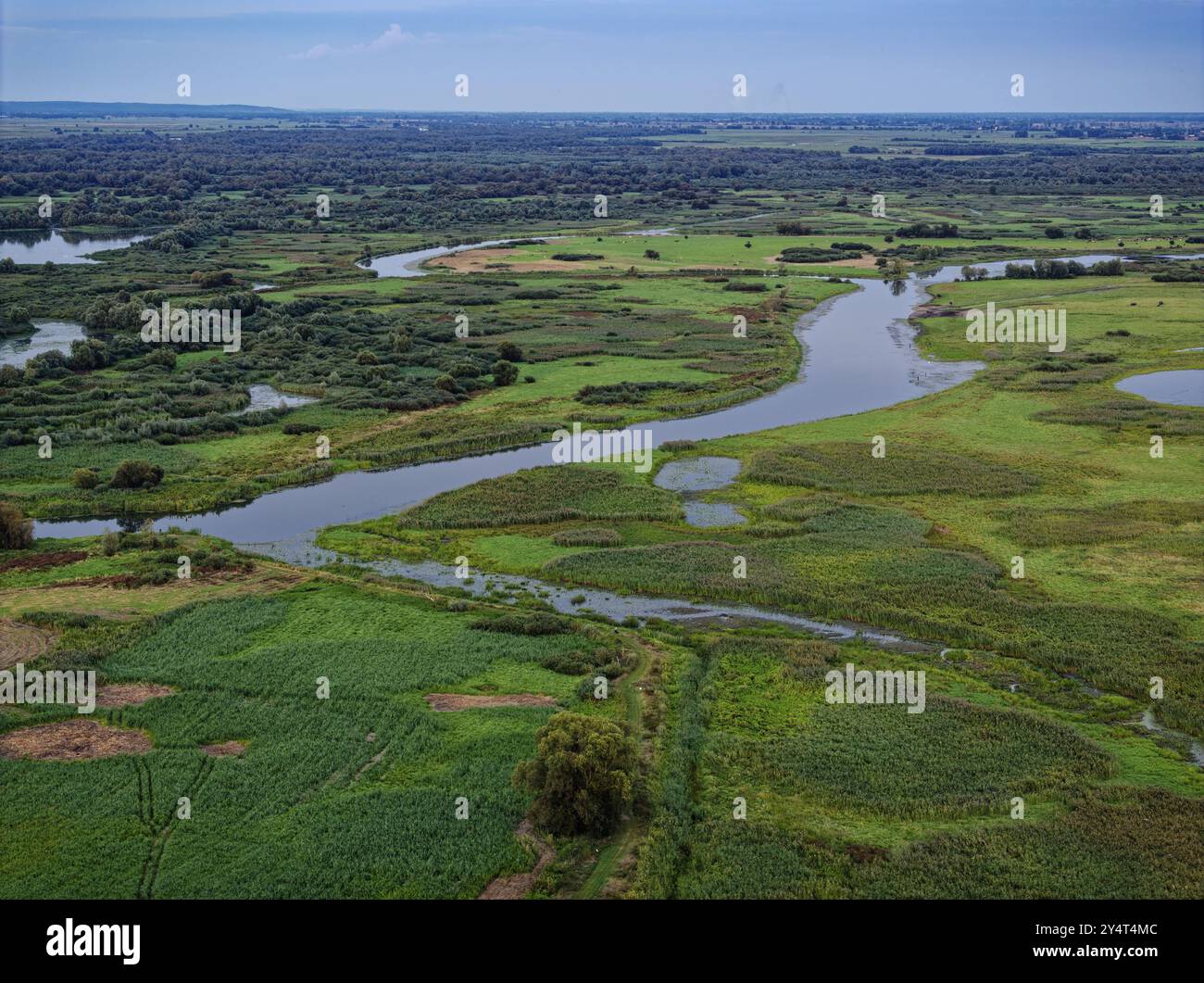 The Warta Estuary National Park, Park Narodowy Ujscie Warty, where the ...