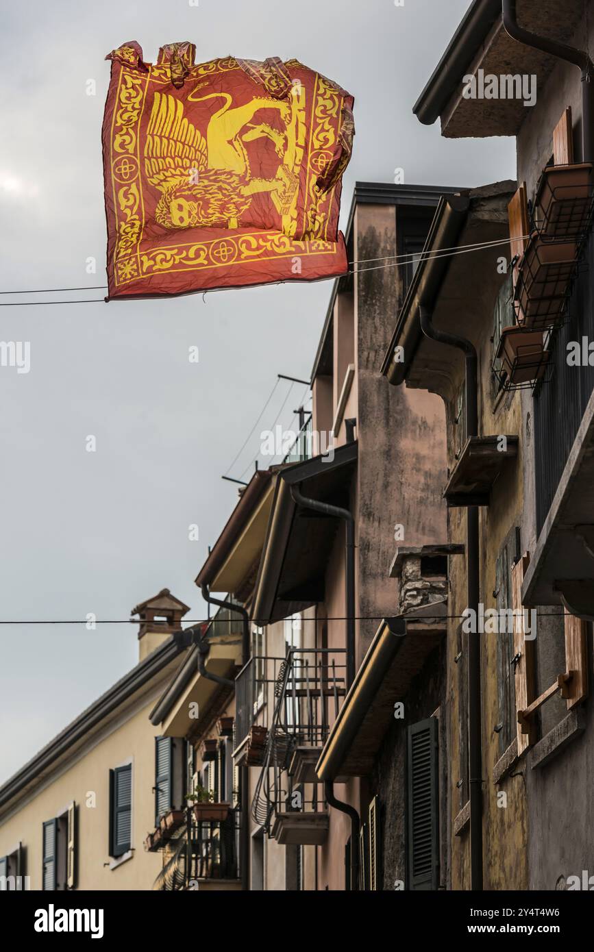 Lion, coat of arms, heraldic animal, flag, banner, tourism ...
