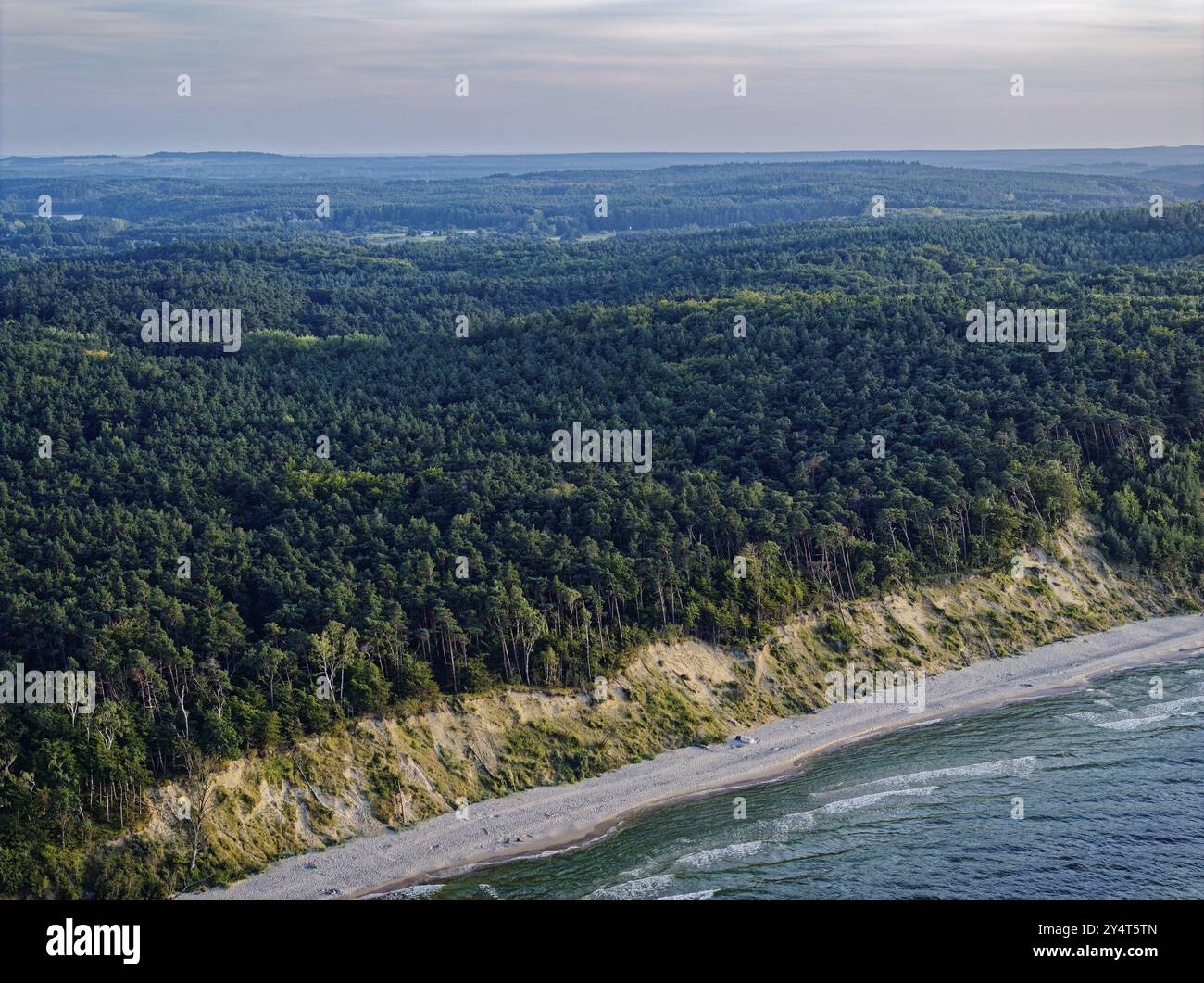 Sandy beach beach and forest, mainly beech forests, on the coast in the ...