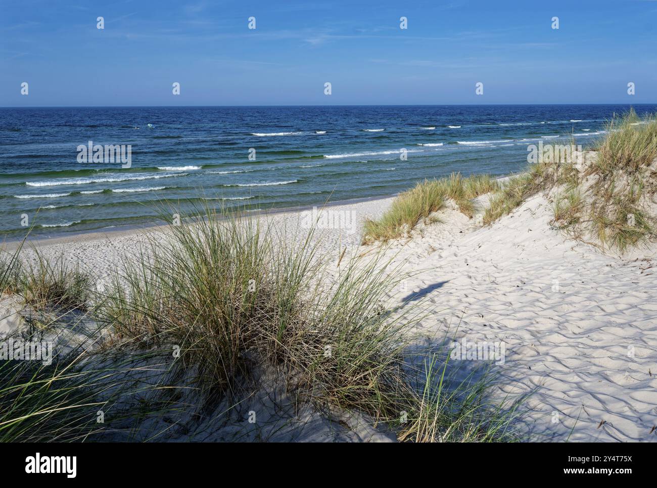Dune landscape on the Polish Baltic coast in the Slowinski National Park, part of the UNESCO ...