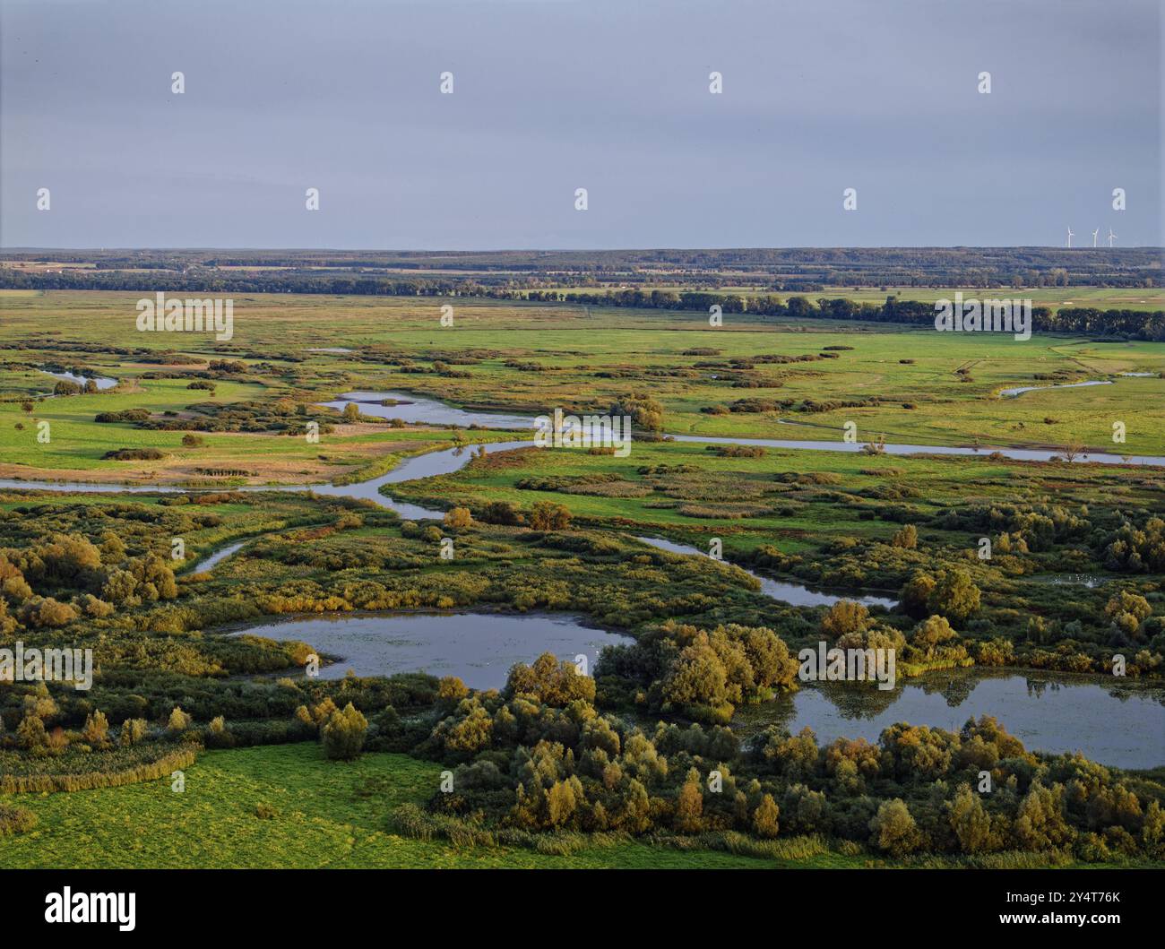 The Warta Estuary National Park, Park Narodowy Ujscie Warty, where the ...