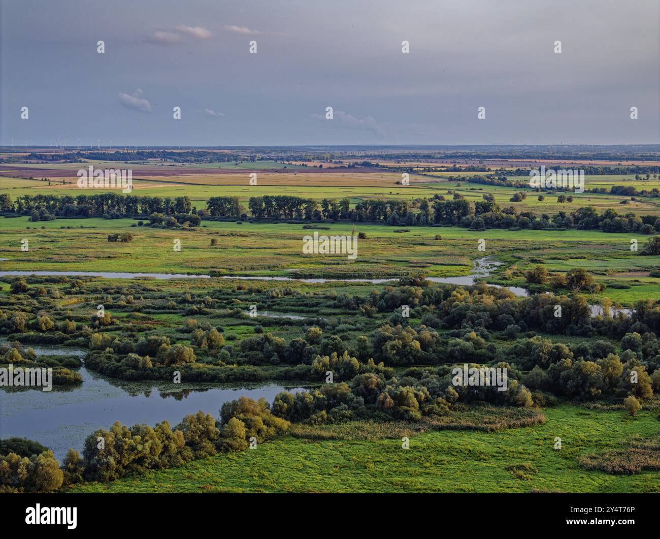 The Warta Estuary National Park, Park Narodowy Ujscie Warty, where the ...
