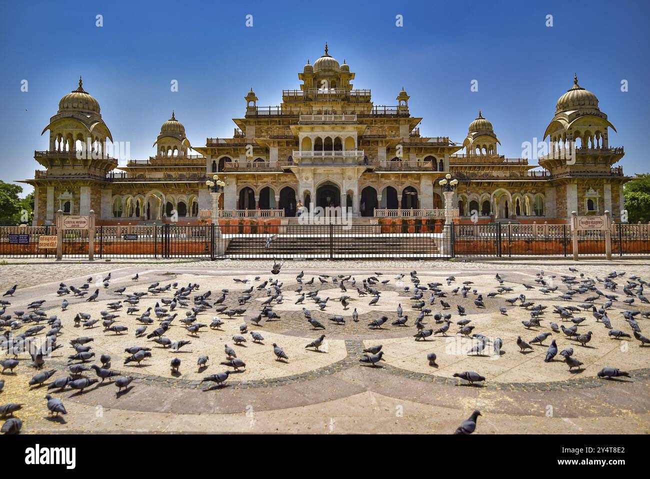 Albert Hall Museum in Jaipur, India, Asia Stock Photo - Alamy