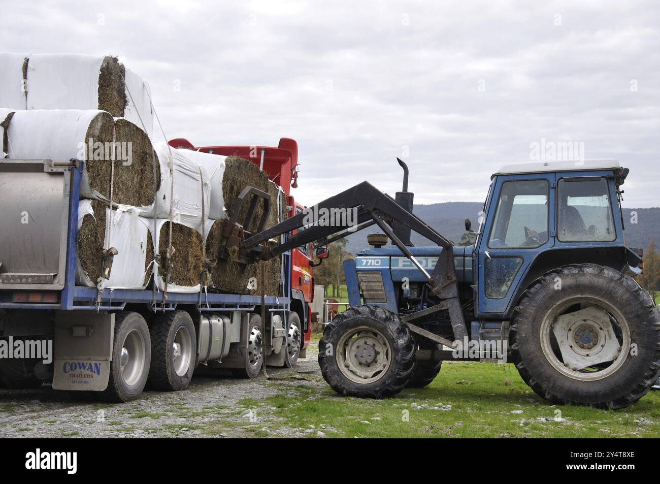 Tractor unloading bales of hay from truck Stock Photo - Alamy