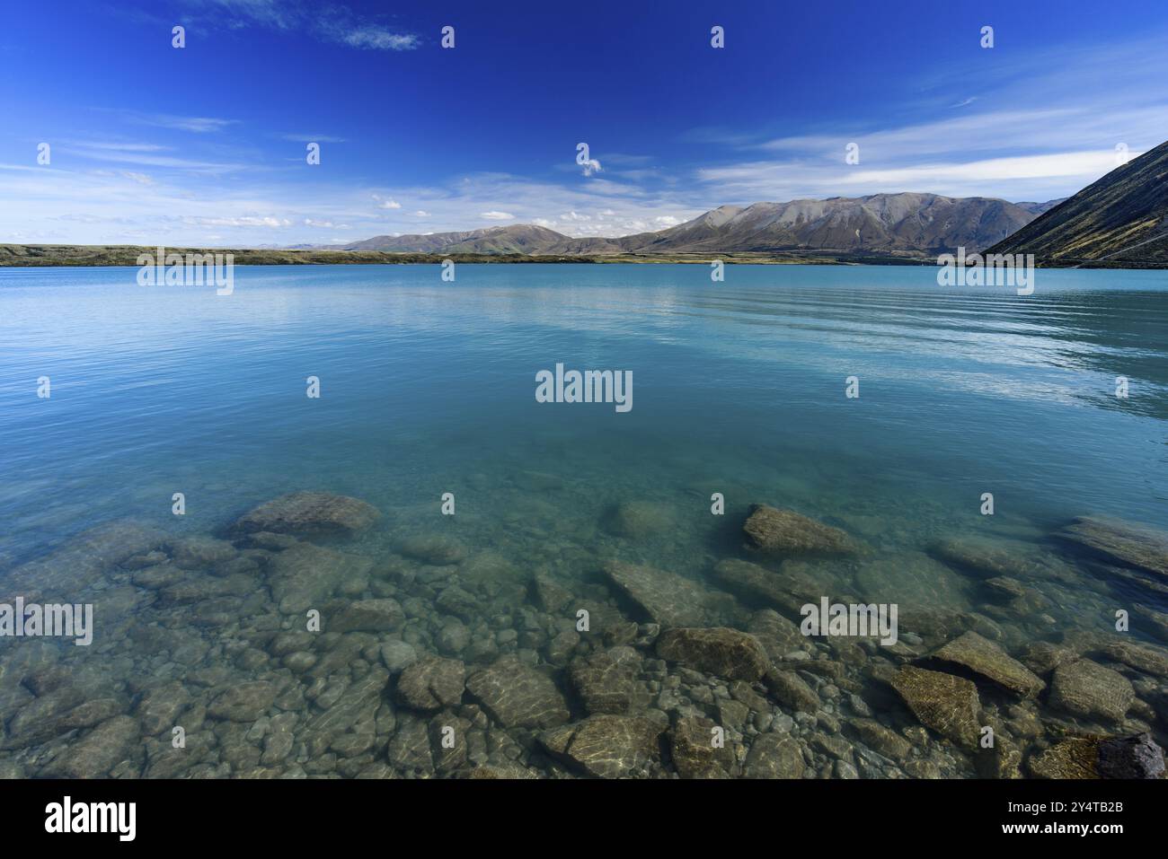 Clean lake in South Island, New Zealand, Oceania Stock Photo - Alamy
