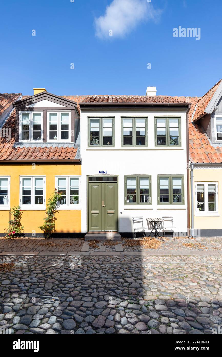 Capture the vibrant charm of Odense, Denmark! Stunning photos of ...