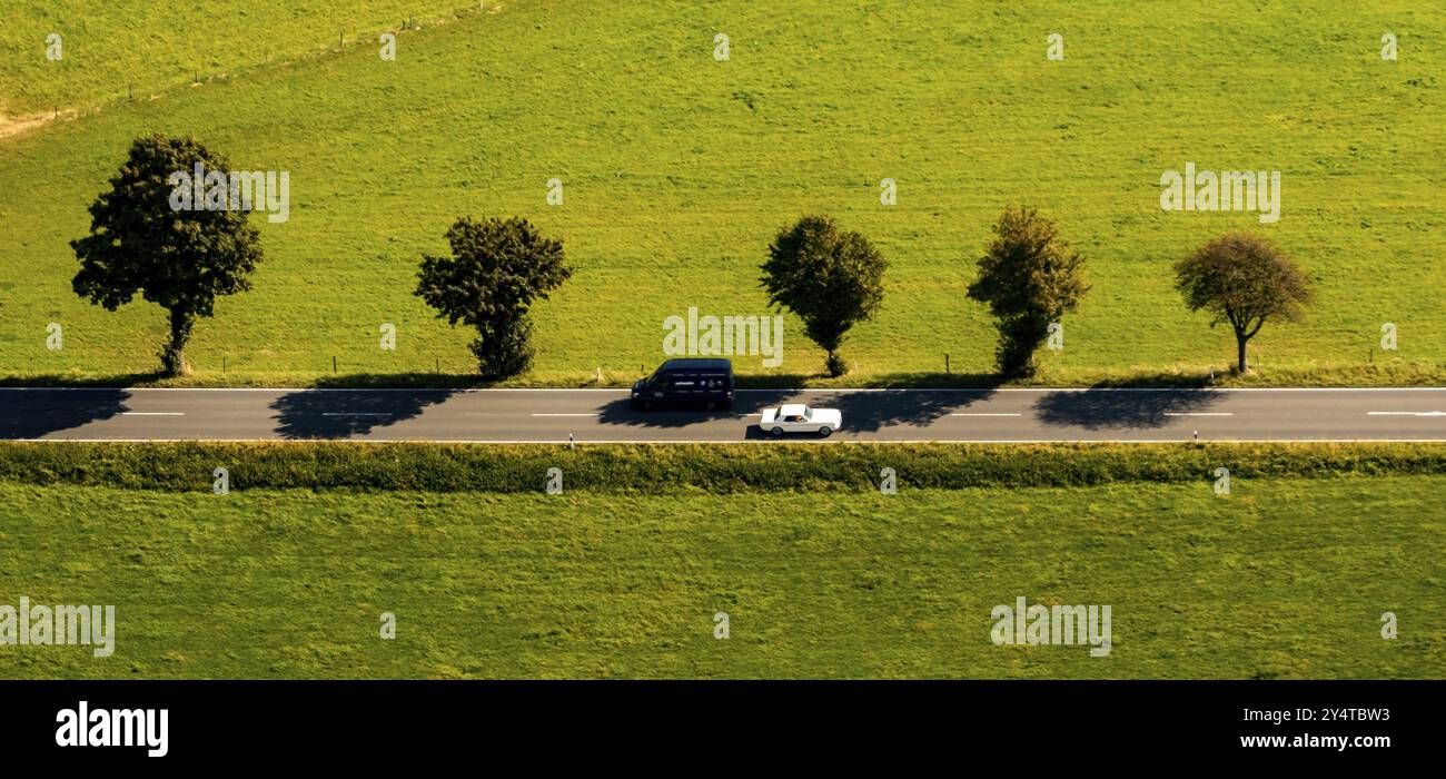 White Ford Mustang on a country road with trees Stock Photo - Alamy