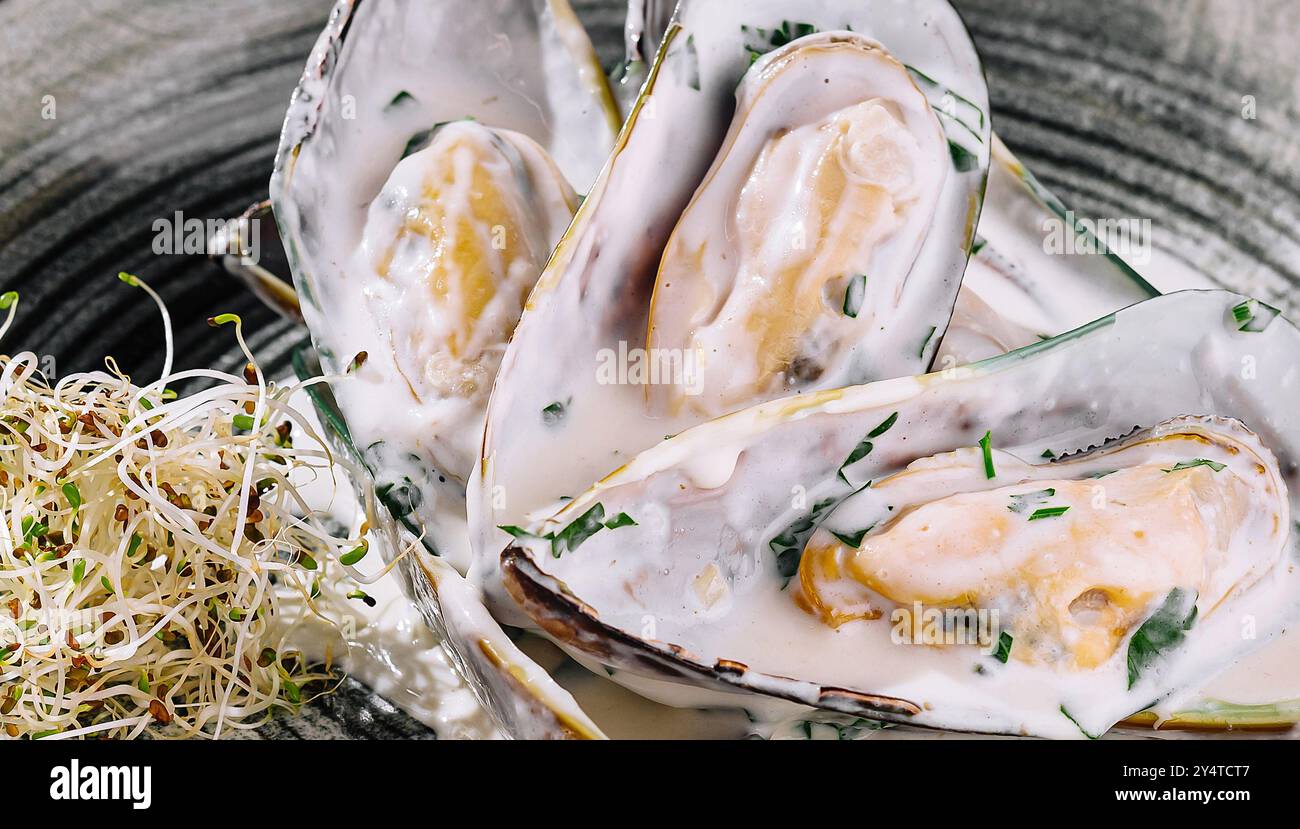 Delicate mussels smothered in a creamy sauce hi-res stock photography ...