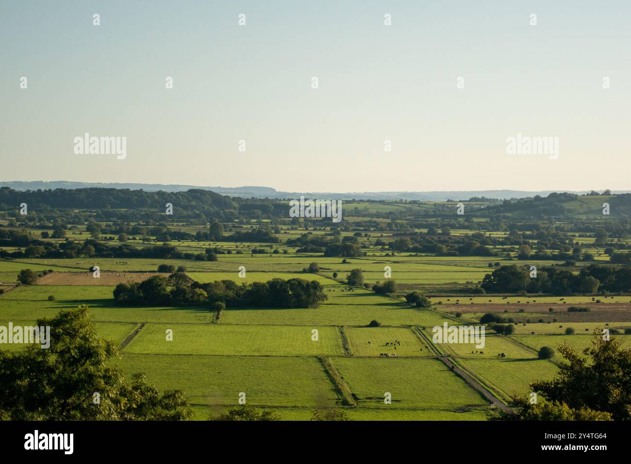 Country fields summer uk hi-res stock photography and images - Alamy