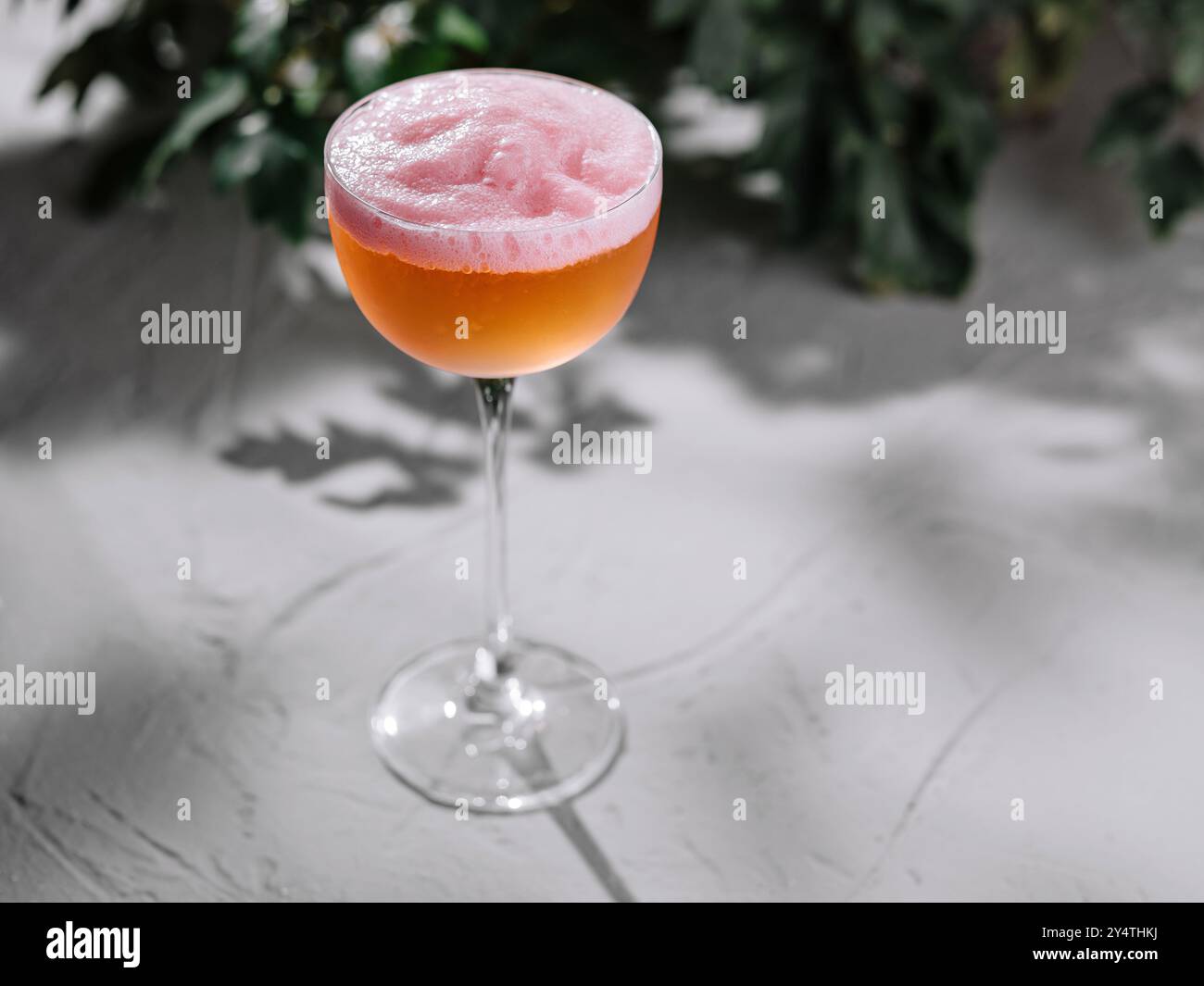 Stylish pink cocktail with a frothy top, served on a sleek, textured ...