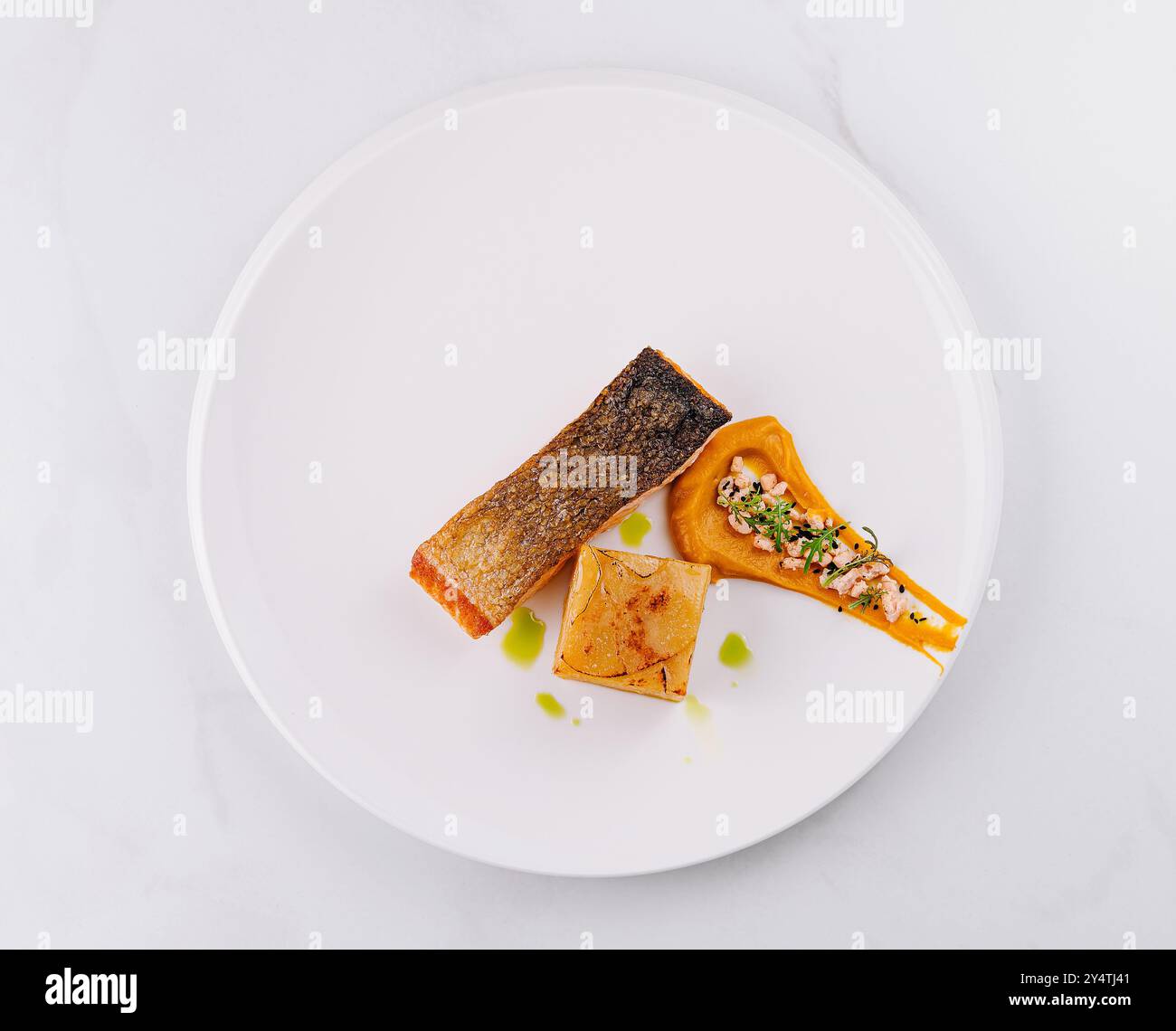 Gourmet plated salmon dish with puree and garnish on a minimalist white ...