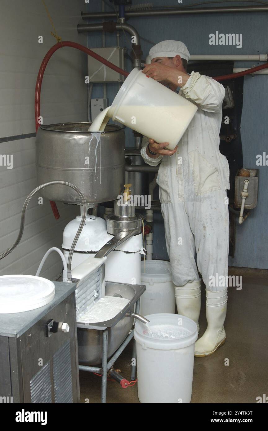 A farmer fills a separating machine which draws off cream (to the right ...