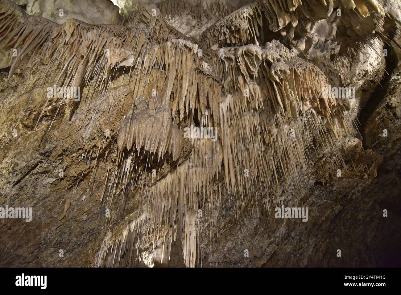 Mole Creek Limestone cave in Tasmania, Australia, Oceania Stock Photo ...