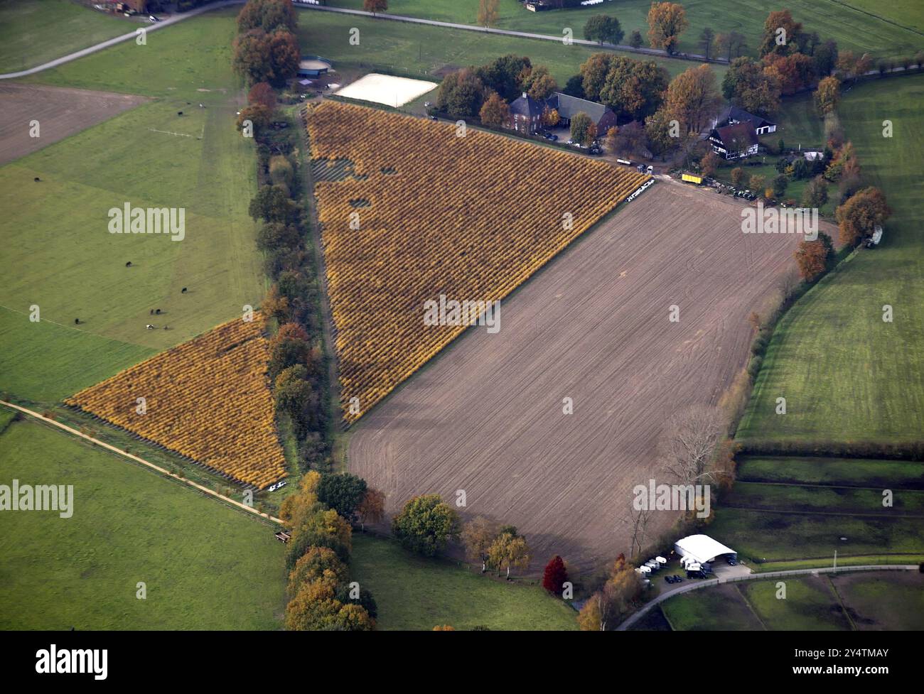 Autumn cornfield, lines, colours, colour, fields, agriculture Stock ...