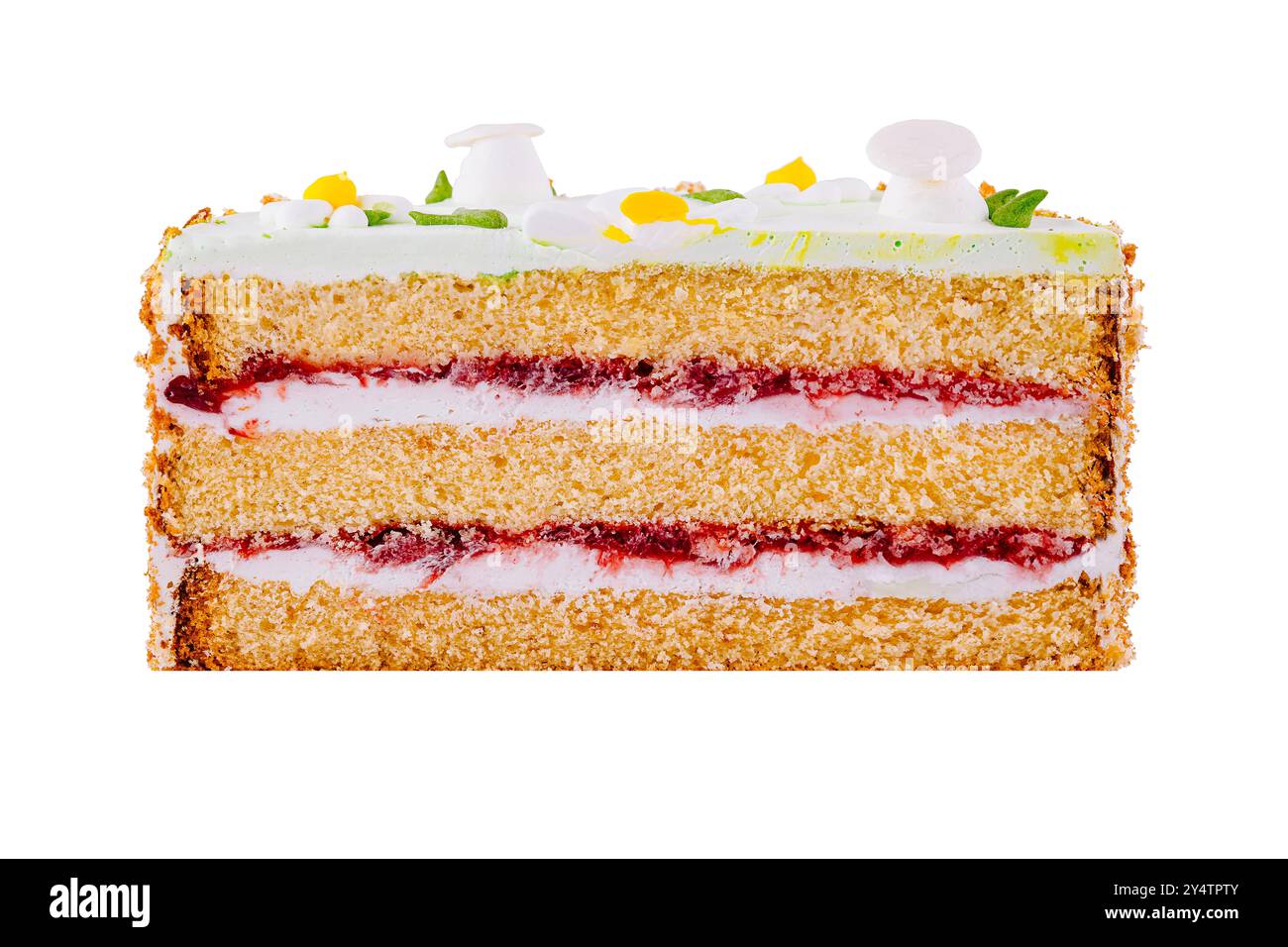 Delicious sponge cake with cream filling decorated with green icing and ...