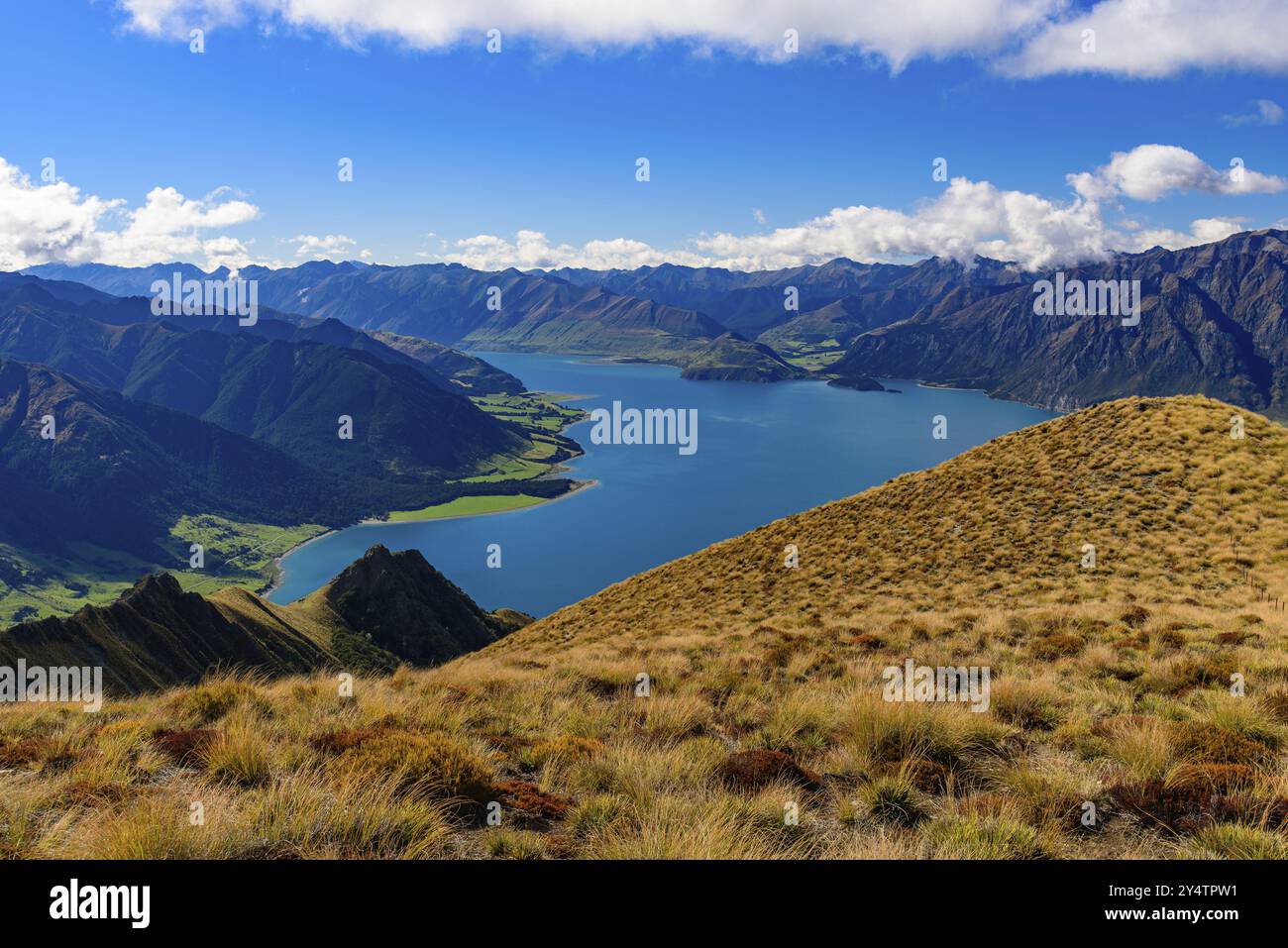 Lake wanak in south hi-res stock photography and images - Alamy