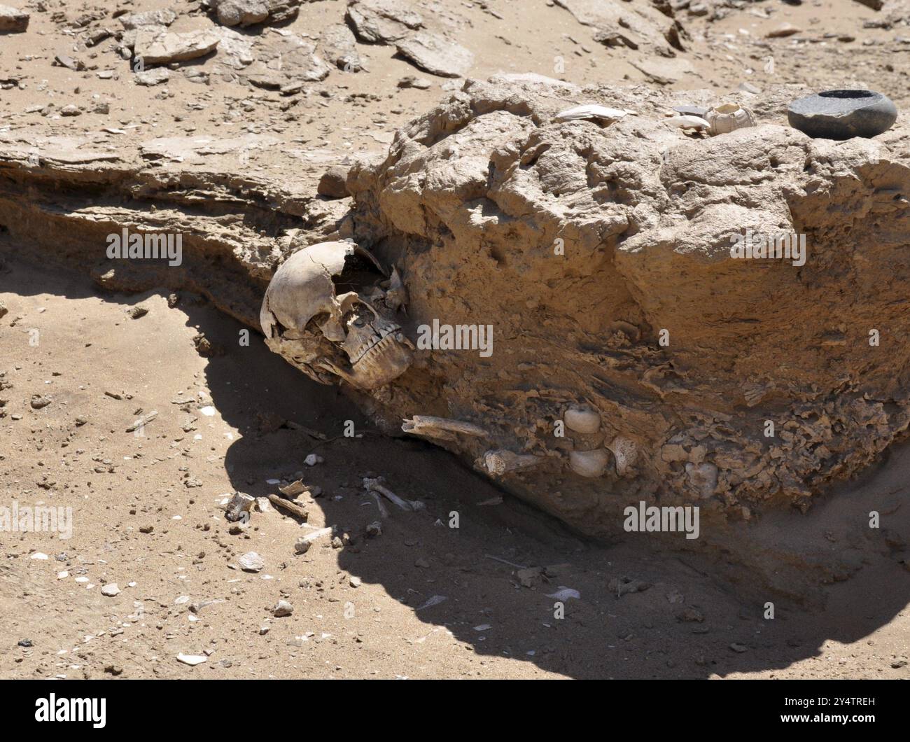 Ancient human skeleton in the Namib Desert, Namibia, Africa Stock Photo ...