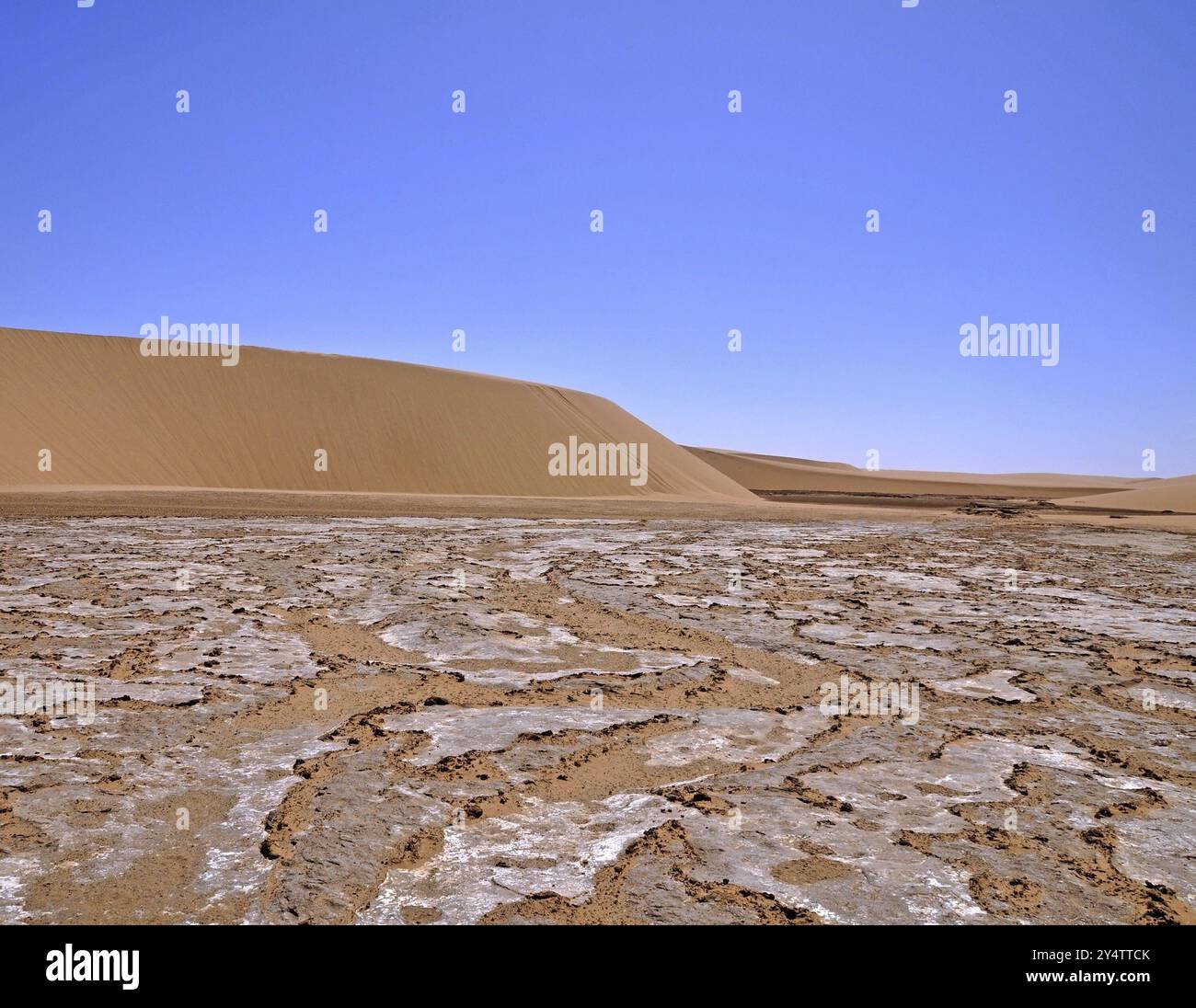 Sand dune and dry river bed in the Namib Desert, Namibia, Africa Stock ...