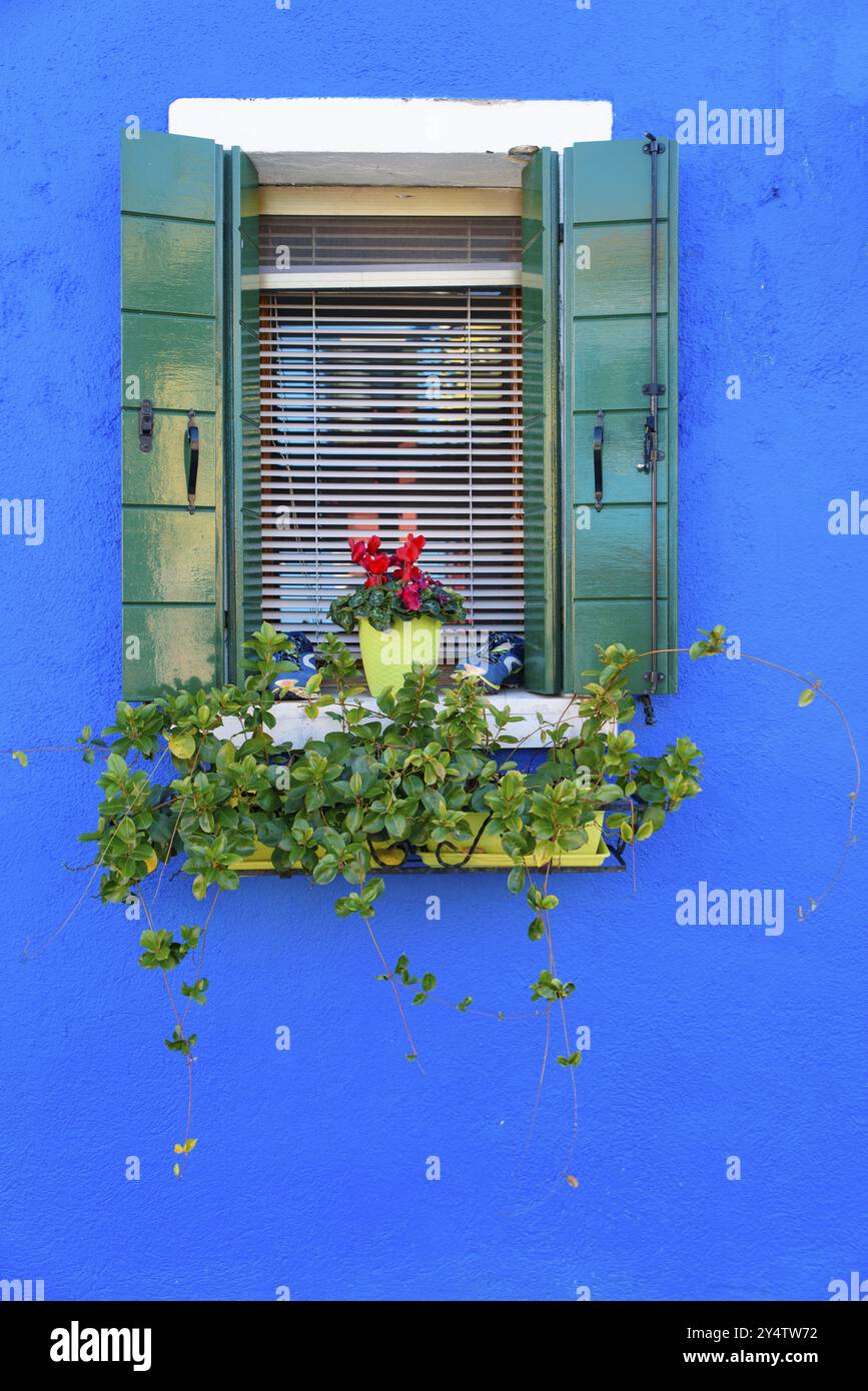 Mediterranean window decoration at Venice, Italy, Europe Stock Photo ...