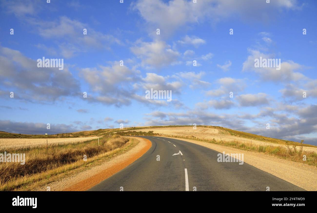 Urban tar road in between wheat fields in South Africa Stock Photo - Alamy