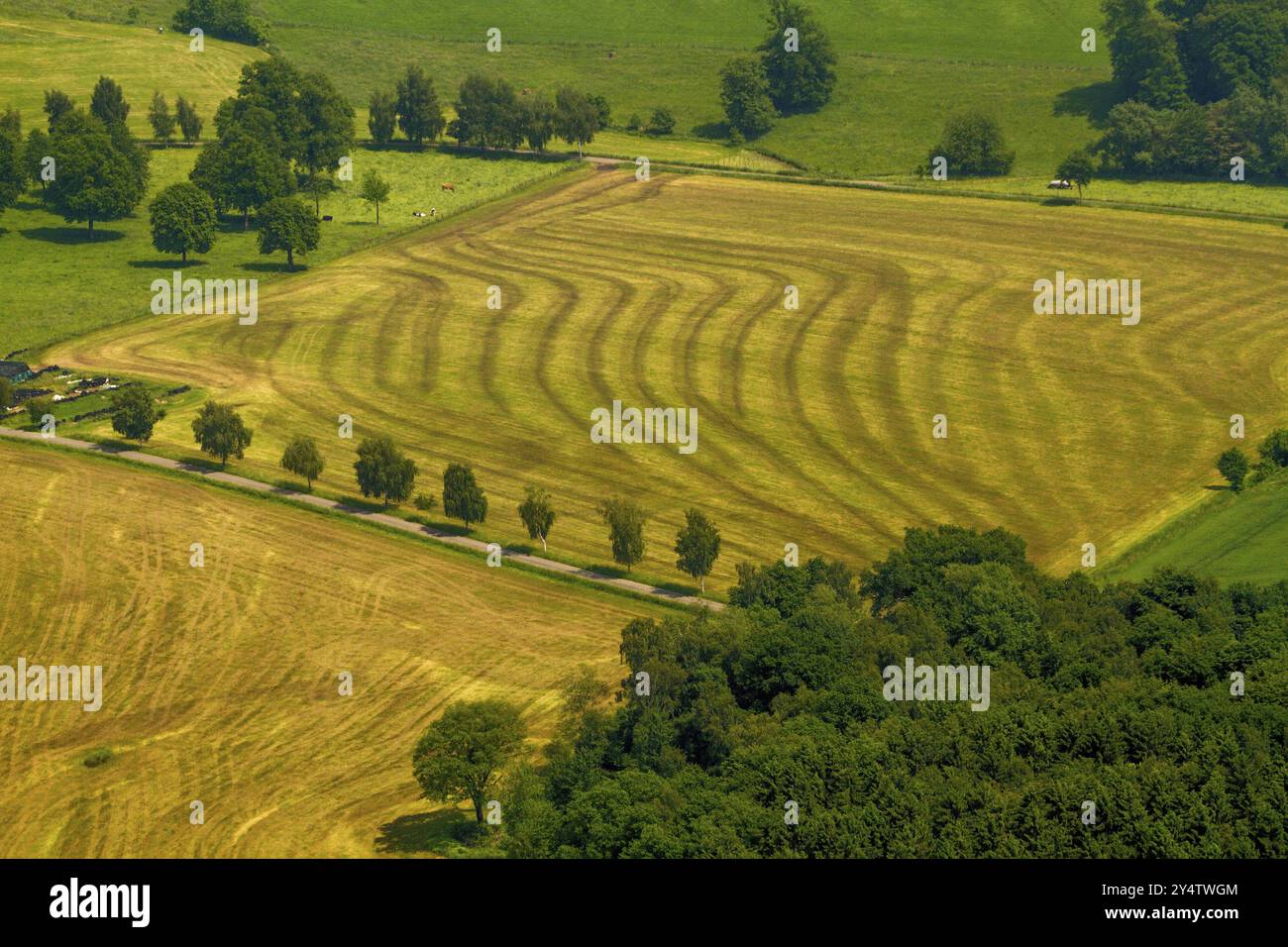 Agriculture land in the Rhein Sieg district after the harvest. Patterns ...