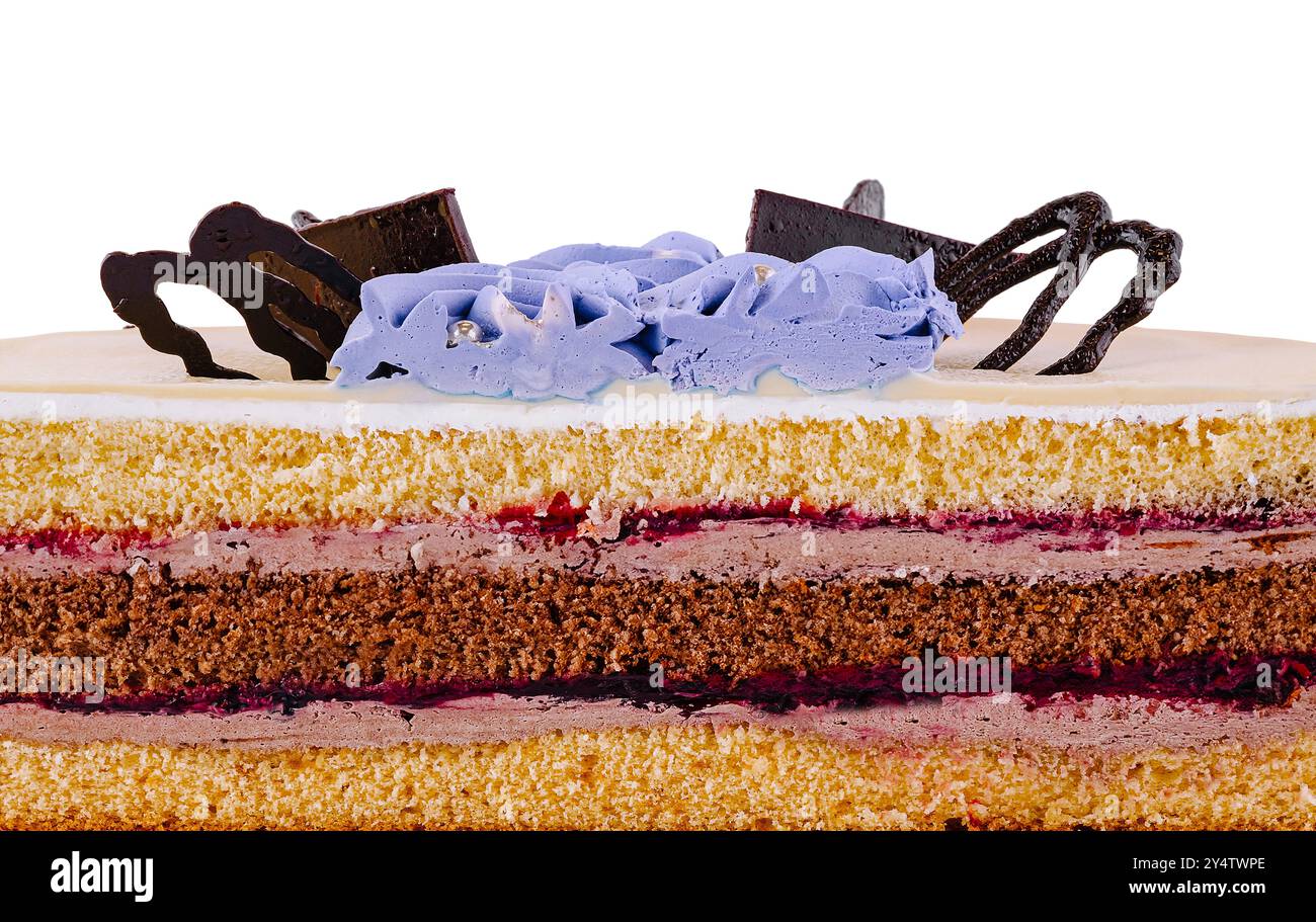 Multi-layered cake with chocolate and vanilla layers is showing its ...