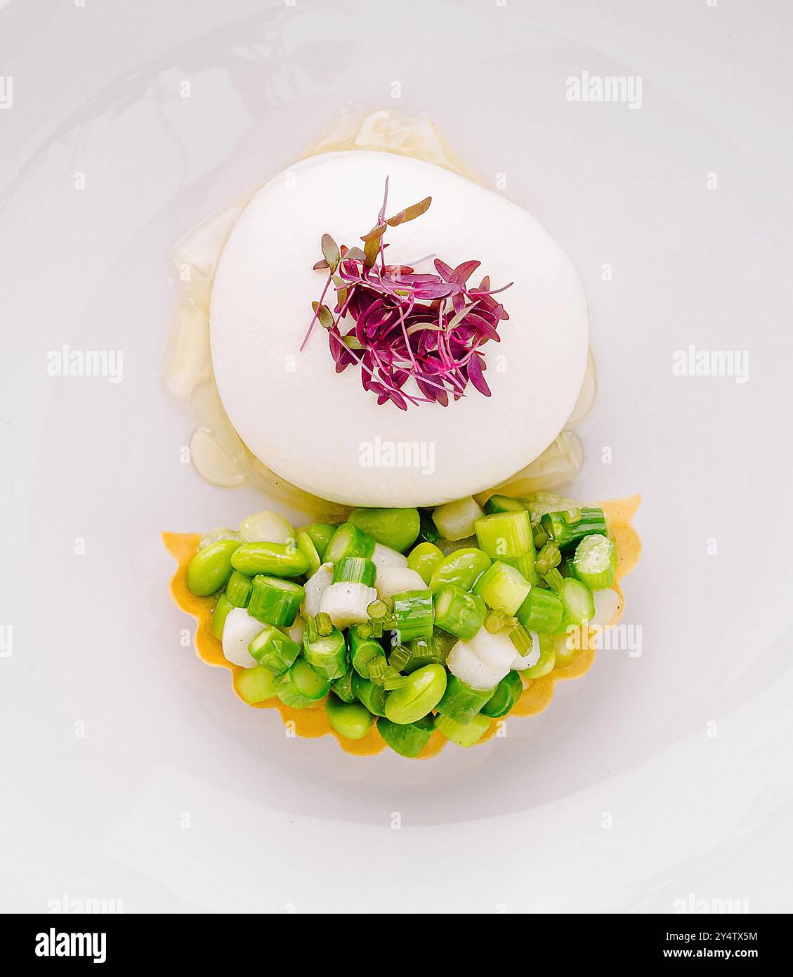 Featuring a creamy mousse and a fresh vegetable tartlet hi-res stock ...