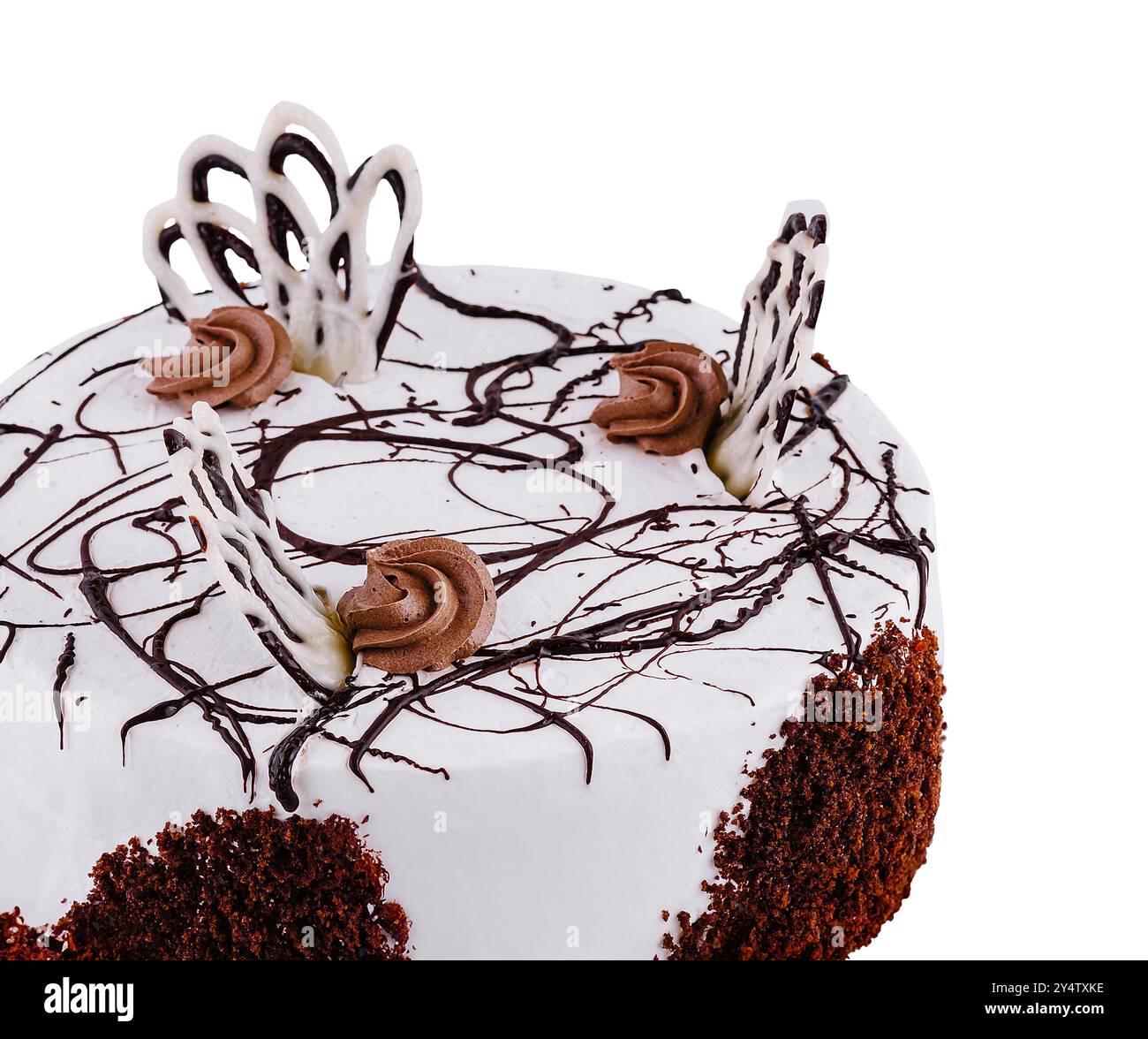 Round cake with white icing, chocolate sprinkles and chocolate ...