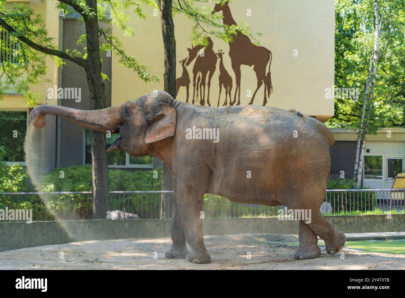 In berlin zoological garden hi-res stock photography and images - Alamy