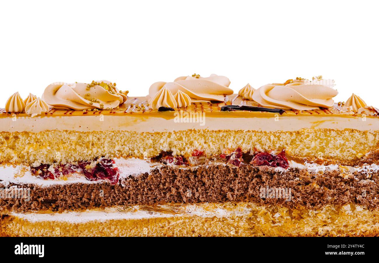 Showing delicious layers inside big rectangular cake with butter cream ...