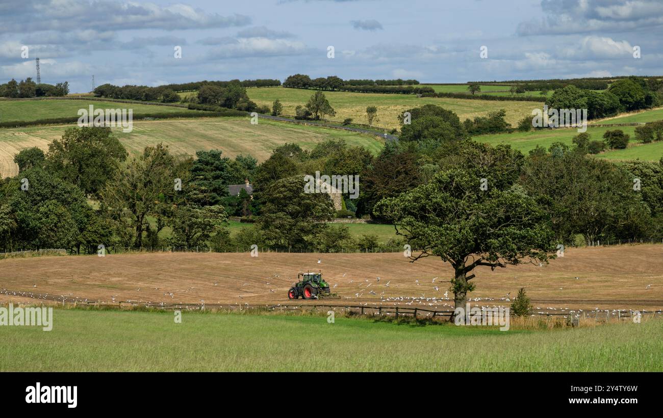 Rear view of green utility tractor hi-res stock photography and images ...