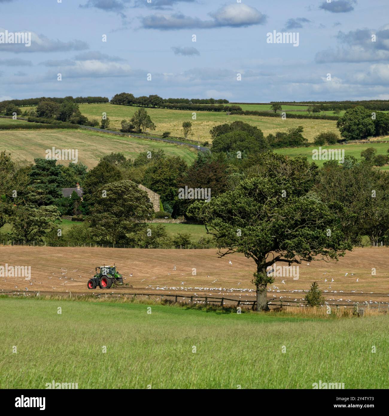 Rear view of green utility tractor hi-res stock photography and images ...