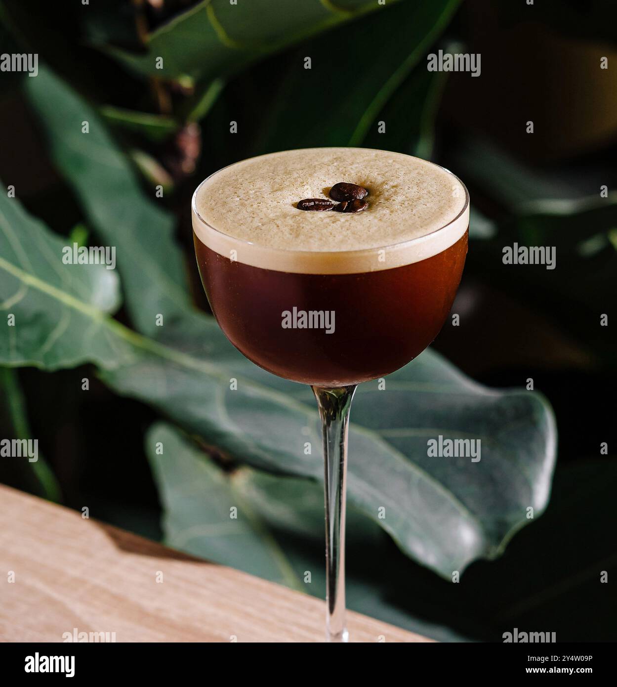 Espresso martini cocktail is standing on a bar, with tropical plants in ...