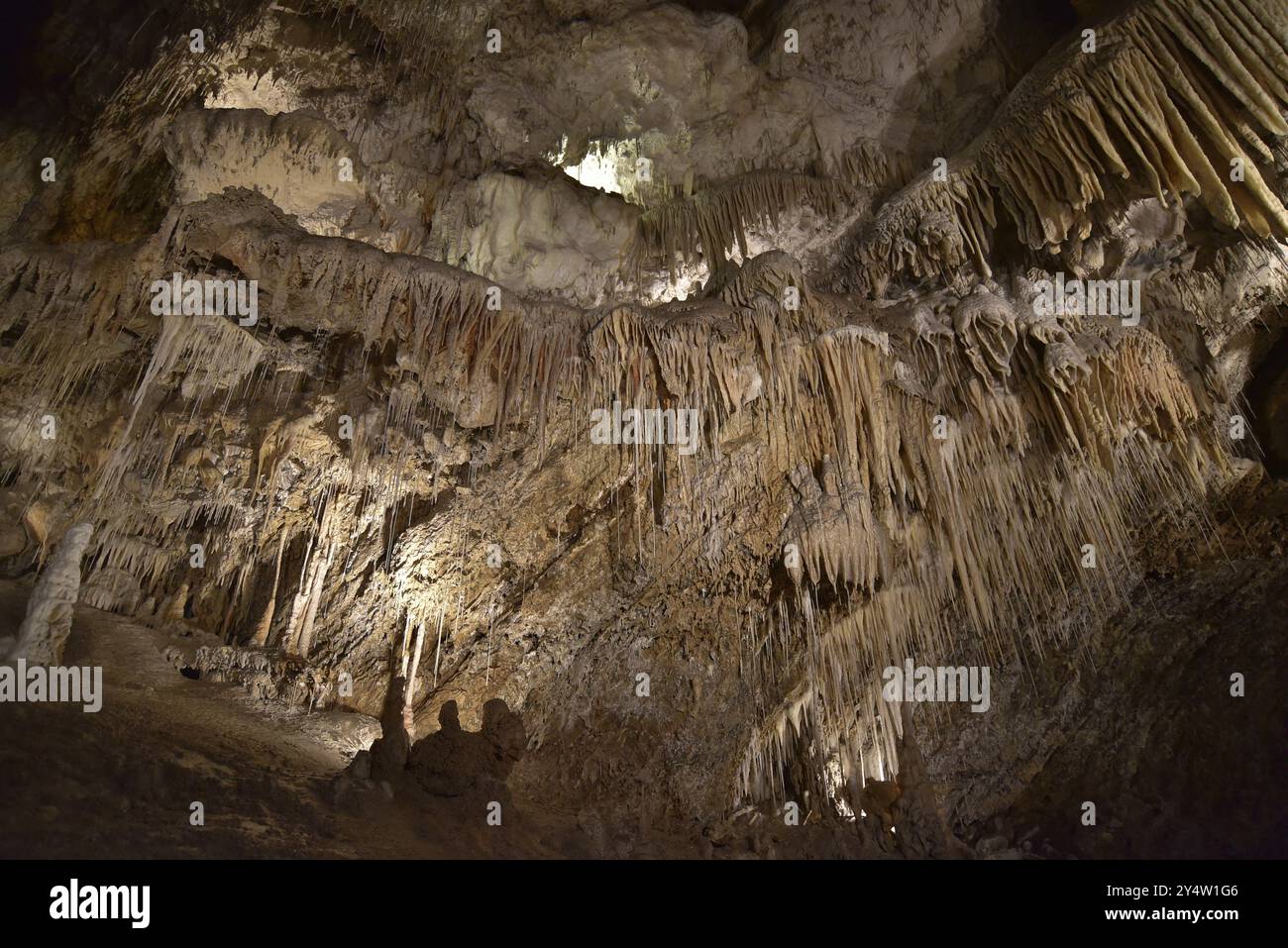 Mole Creek Limestone cave in Tasmania, Australia, Oceania Stock Photo ...