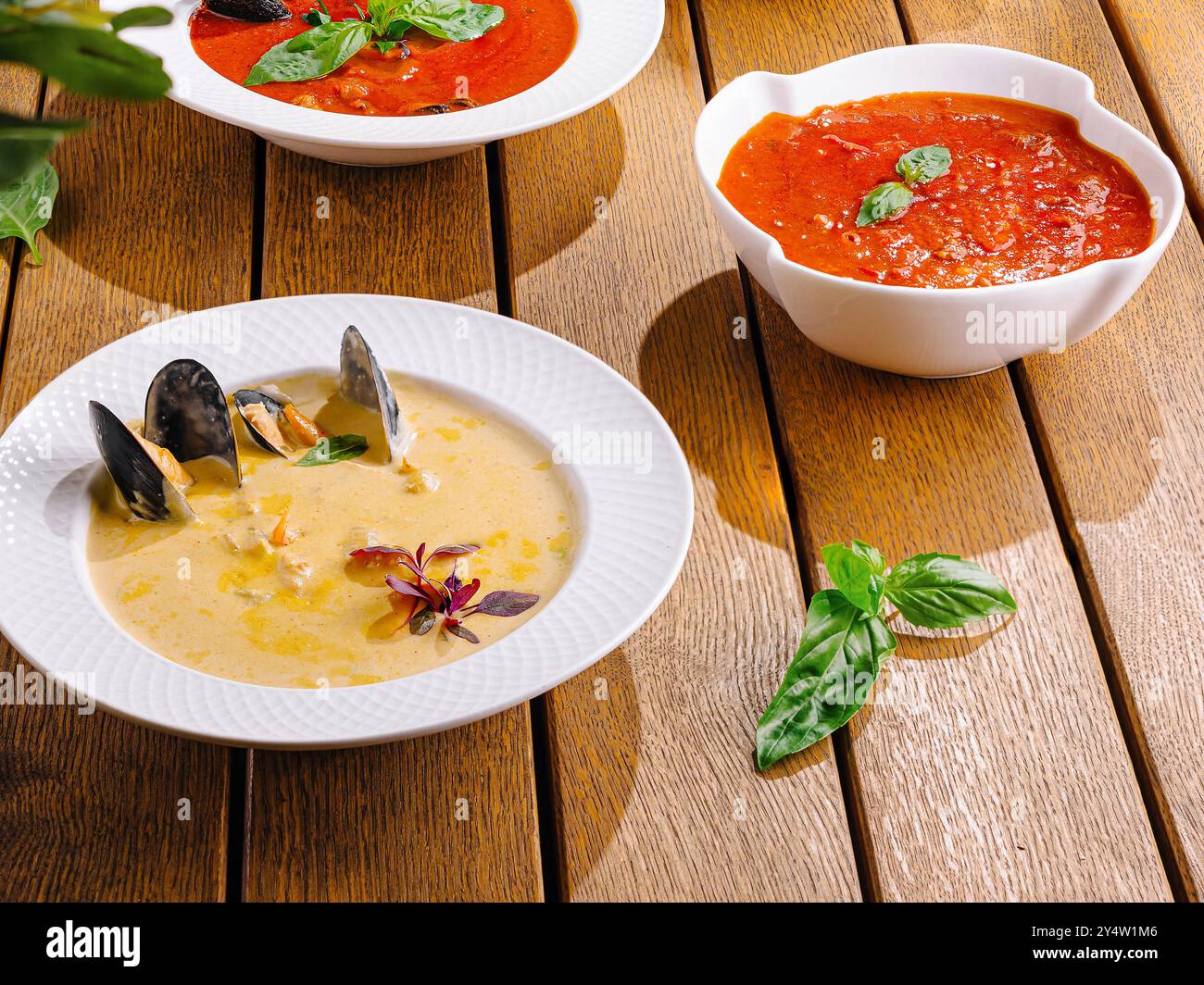 Elevated view of three delicious soup varieties served in white bowls ...