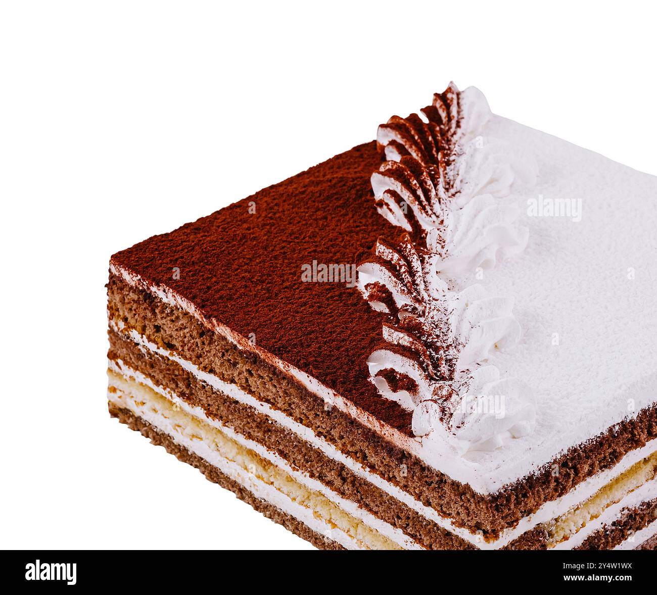Square tiramisu cake with layers of biscuit soaked in coffee and cream ...