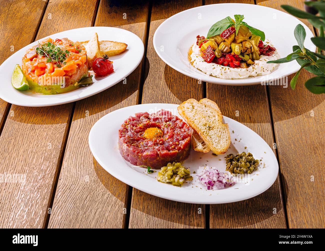 Elegant presentation of three fresh gourmet salads served on a rustic ...